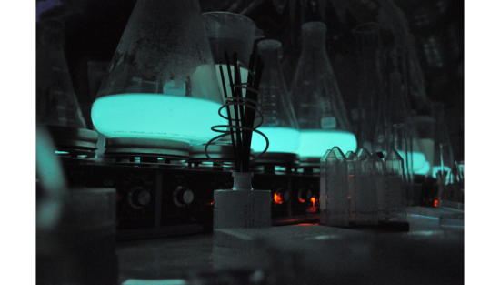 Glowee - biological lighting glows without electricity - kobi lighting ...